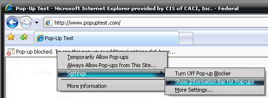 CACI Browser Settings Inspection (Pop-up Help)